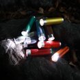 Ozark Trail LED Flashlights, 10-pack, 50 Lumens, Multicolor - Walmart.com