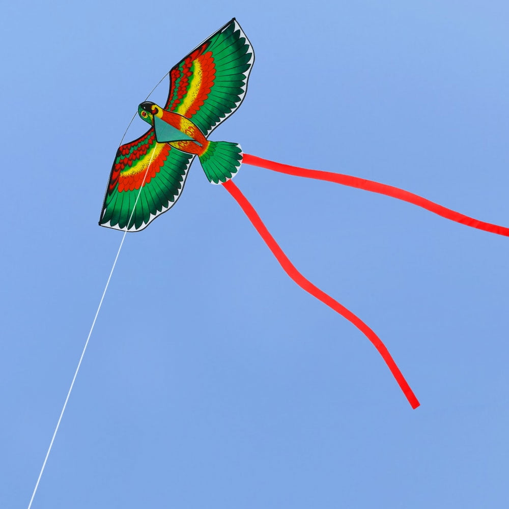 NKTIER Parrot Kite, Flying 3D Cartoon Parrot Kite, Parrot Design ...