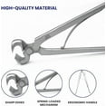 Equine Care 12-Inch Spring-Loaded Hoof Nipper – Chrome Vanadium Steel ...