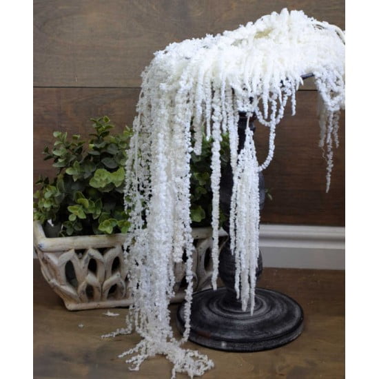 Floral Arrangements Dried Flower Arrangements Bleached Amaranthus Home ...