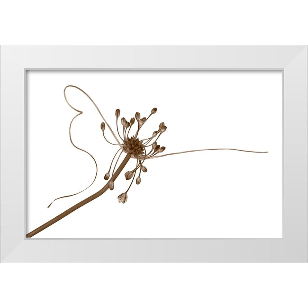 Petit, Yannick 24x17 White Modern Wood Framed Museum Art Print Titled ...