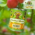 Treasure Trading Linstead Market Jamaican Ackee, 19 oz - Exotic ...