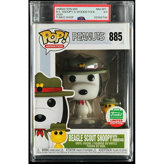 Peanuts Snoopy Woodstock Flocked Funko Pop! Vinyl Figure #2096 ...