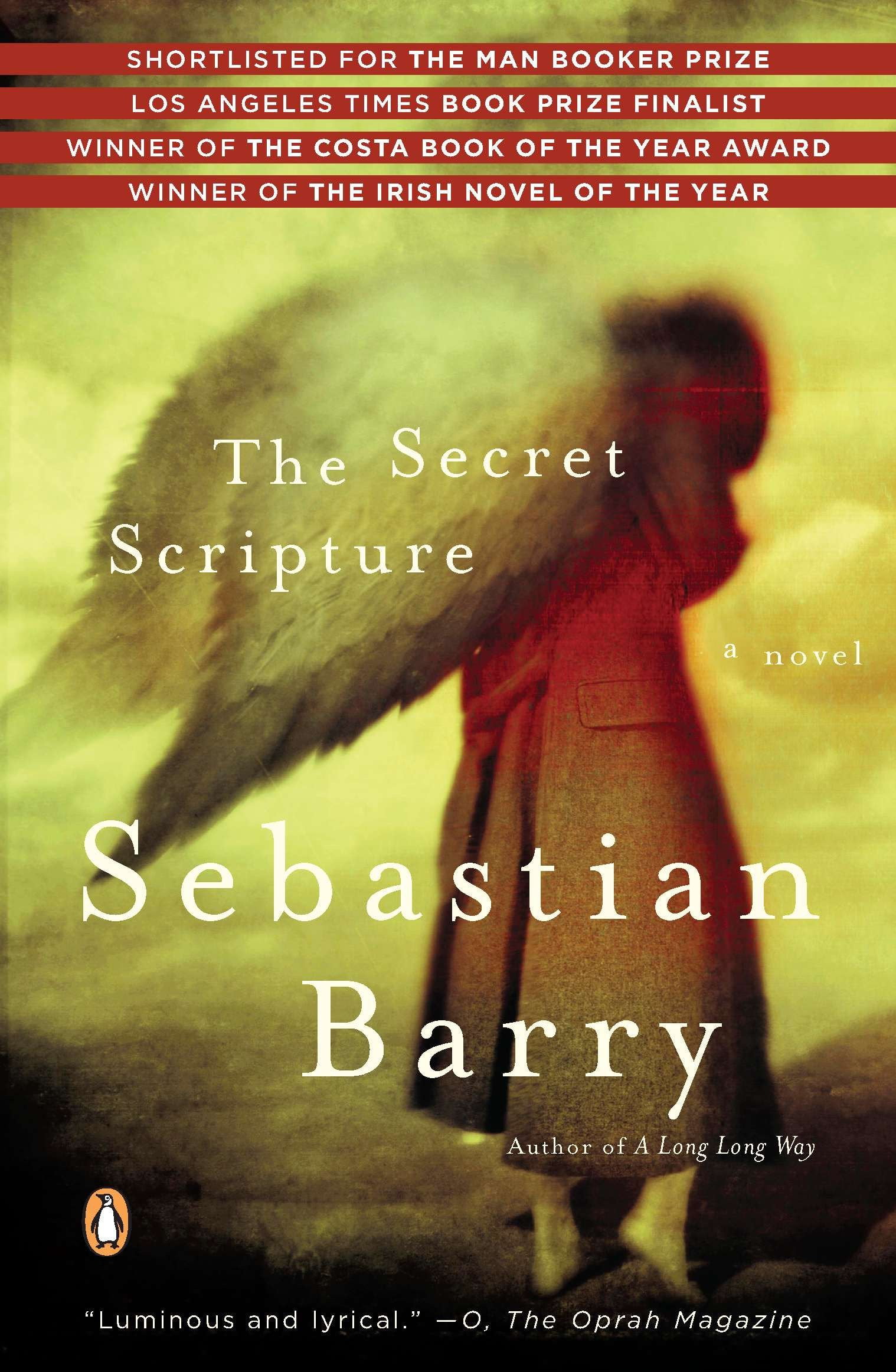 The Secret Scripture (Paperback) - Walmart.com - Walmart.com