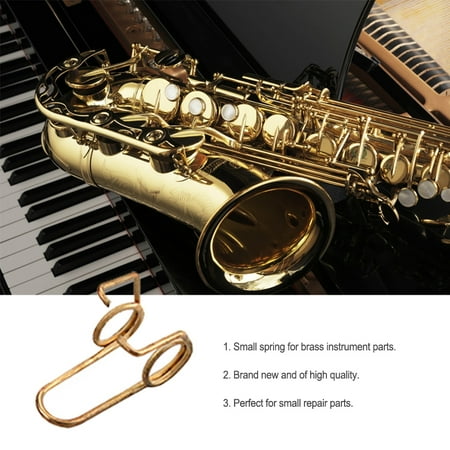 20 Pieces Trumpet Water Key Spring Set Values Small Gold Metal Springs ...