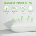 Goose Feather Down Pillows for Sleeping，Hotel Collection Queen Size ...