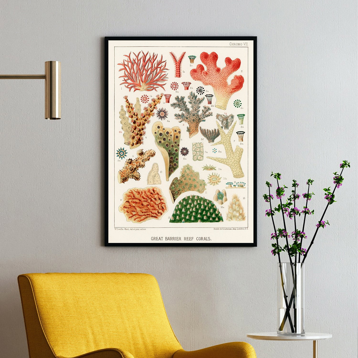 Great Barrier Reef Corals - 1893 | William Saville-Kent | Premium Fine ...