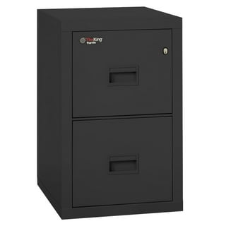 Sentry Safe Fire 6000 2 Drawer Vertical File Cabinet Black | Cabinets ...