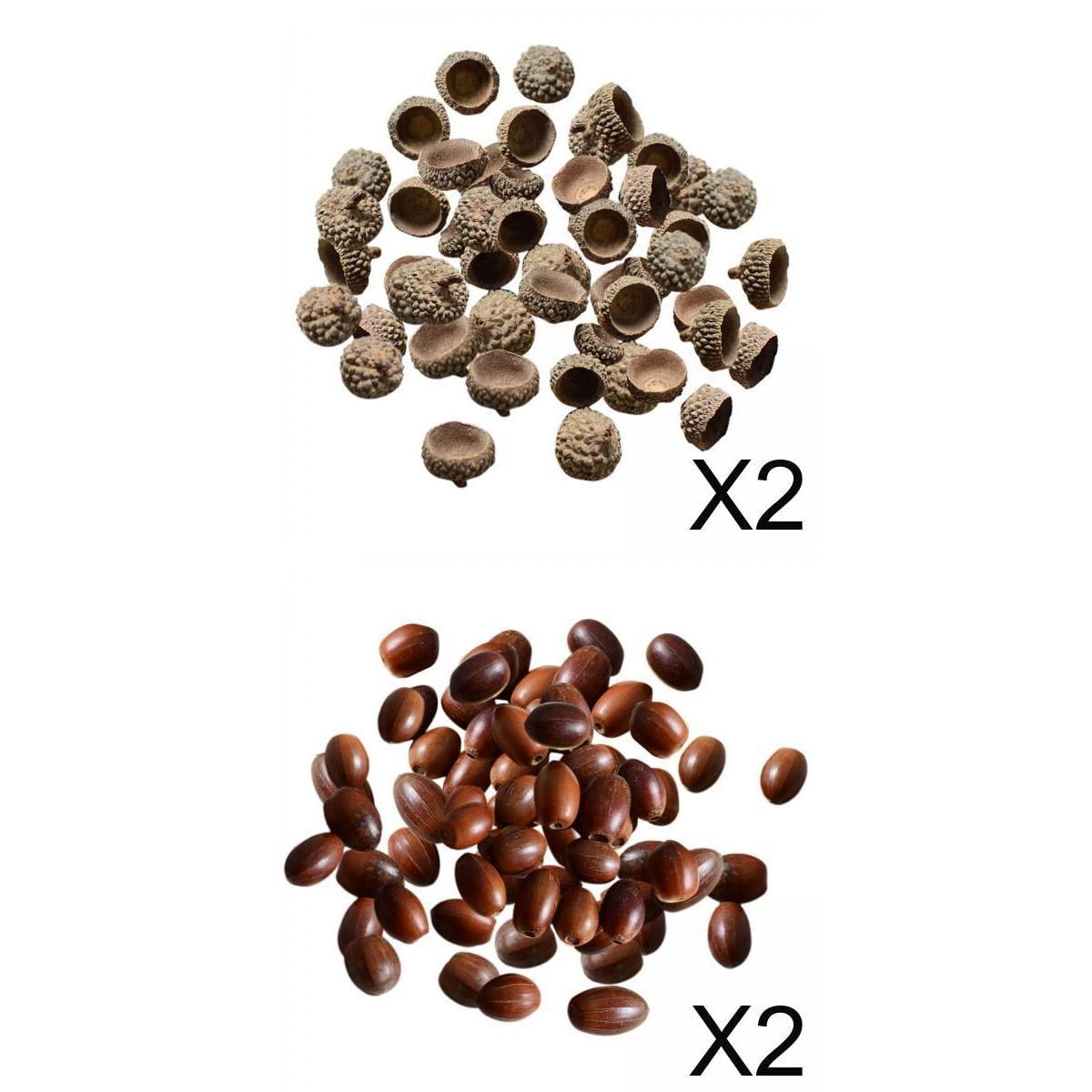 Click here for Siruishop 400pcs Natural Acorns Real Acorns Caps H... prices