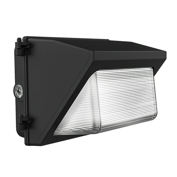 Eave Mount Flood Light