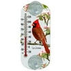 Springfield 4-Season Window Thermometer: Indoor/Outdoor, Durable ...