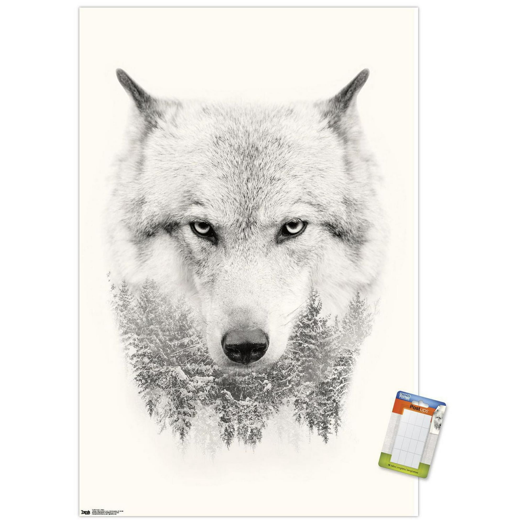 Click here for Trends International Wolf - Trees Wall Poster  22.... prices