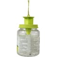 Sterling International Rescue Fly Trap - Outdoor Reusable Canister ...