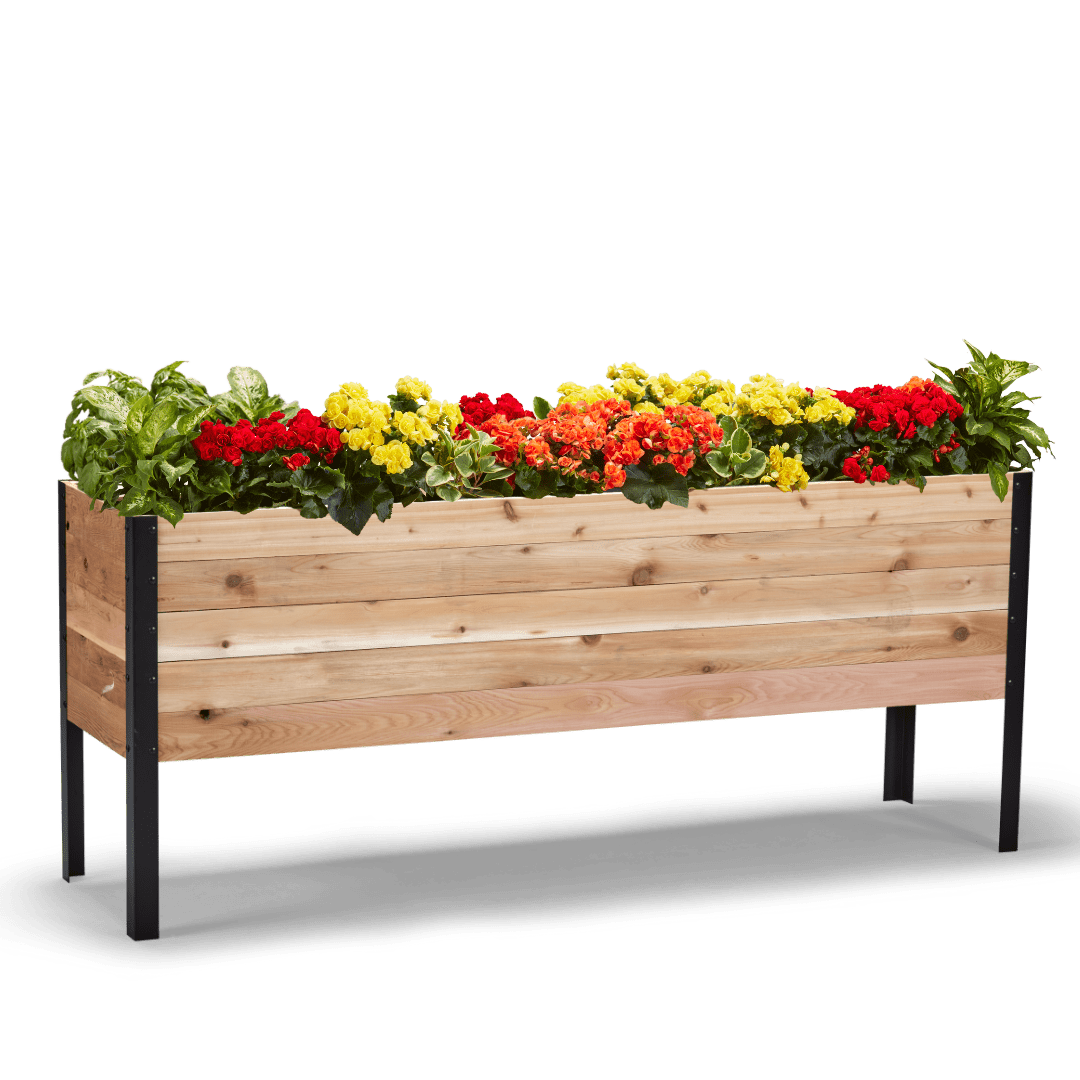 Click here for Cedar Planters Canada 18 X 72 Raised Garden Bed -... prices