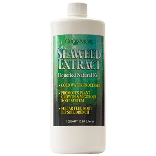 6048 Seaweed Extract 32Oz - Walmart.com
