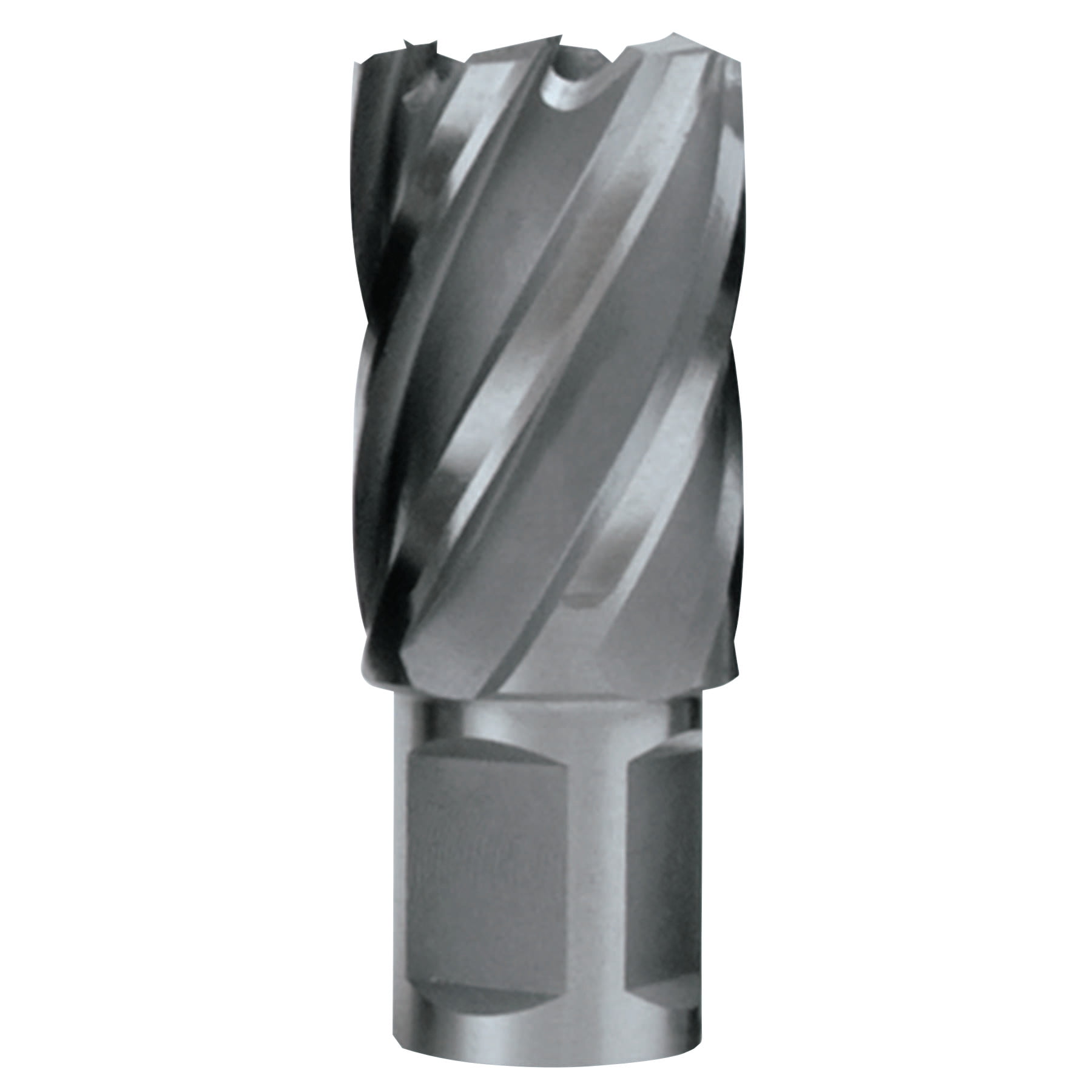 Evolution Cyclone High Speed Steel Annular Cutters, 1 in Dia., 2 in ...