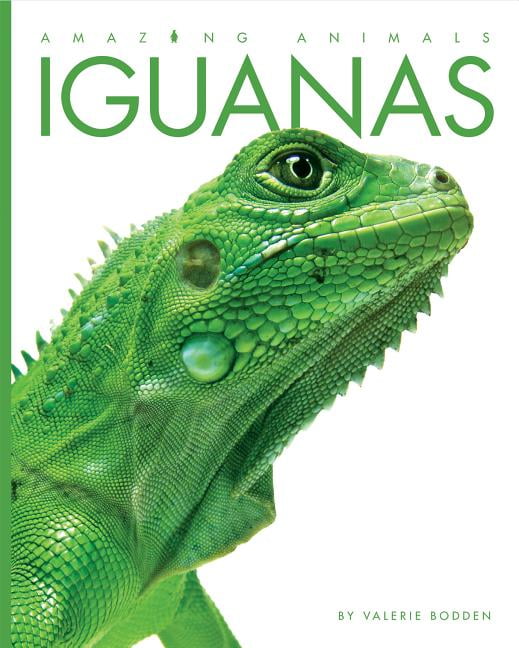 Amazing Animals: Amazing Animals: Iguanas (Paperback) - Walmart.com ...