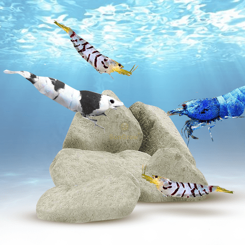 SunGrow Mineral Rocks for Shrimp, Crawfish, Snails, Calcium Helps in ...