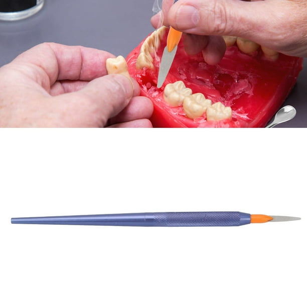 Teeth Bone File, Bone File Replaceable Heads Stainless Steel For ...