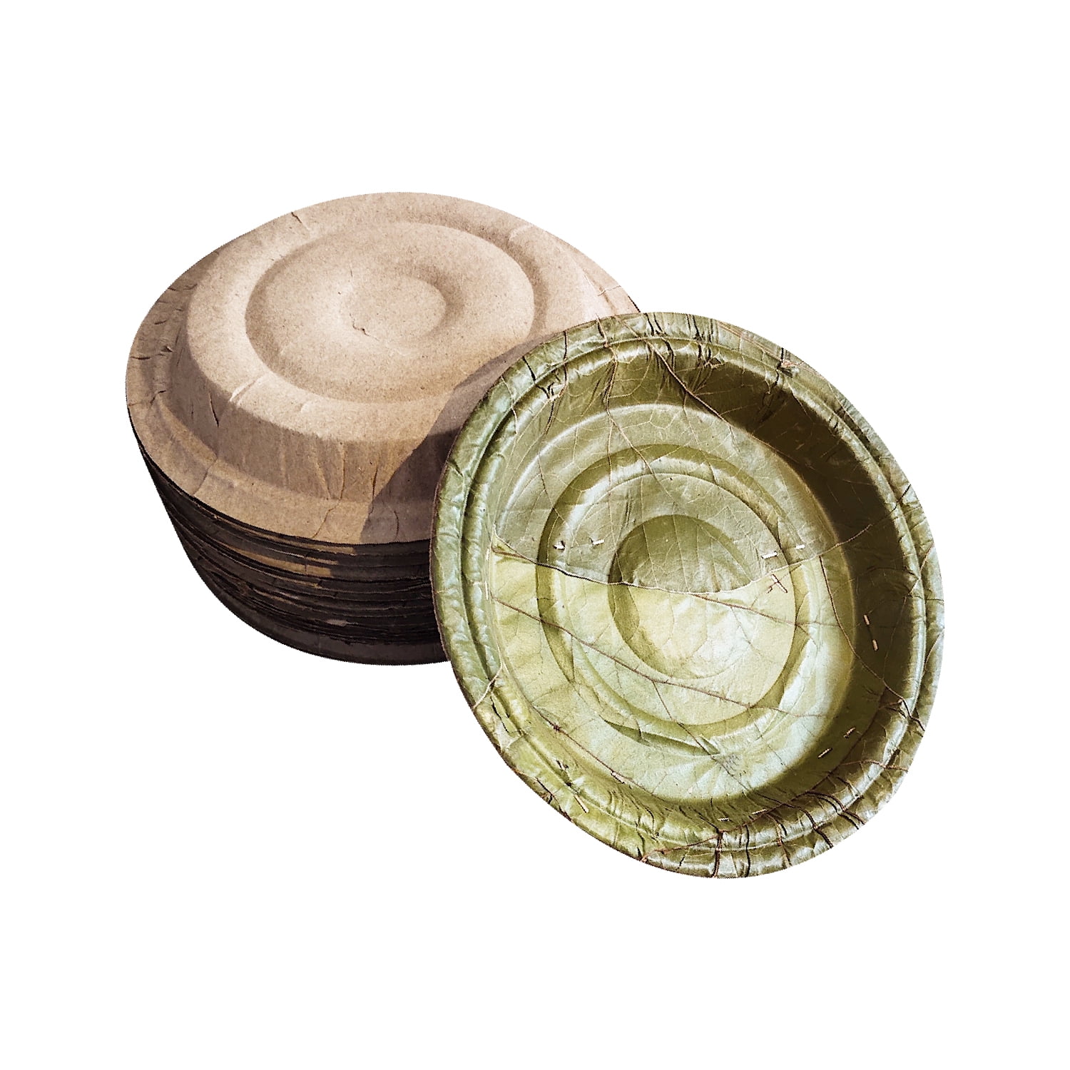 9" Palash-Sal leaf Single use Plates|Natural, biodegradable, backyard ...