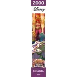 Ceaco - Disney - Princess Academy - 2000 Piece Interlocking Jigsaw ...