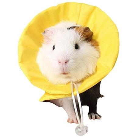 Pet Collar, Elizabethan Small Hamster Recovery Collars Adjustable ...