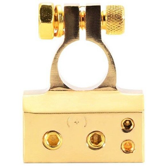 Dual Terminal Battery