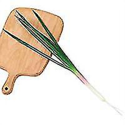 Real Touch Artificial Beans And Onion - Fake Fruit Vegetable Greens ...