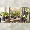 Visualized Clear Nursery Pots 5 Pack With Self-Watering & Tray, 5 Inch ...