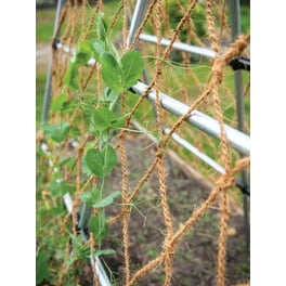 Easy Gardener Bird Block