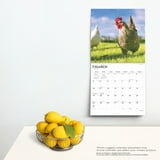 Chickens | 2024 12x24" (Hanging) Monthly Square Wall Calendar ...