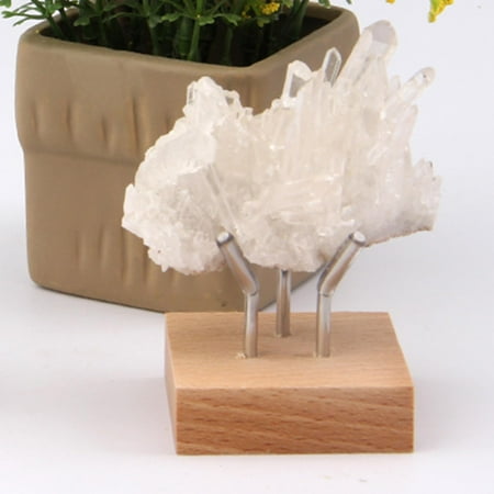 Multipurpose Arms Display Stand Bracket Desktop Display Holder Pedestal ...