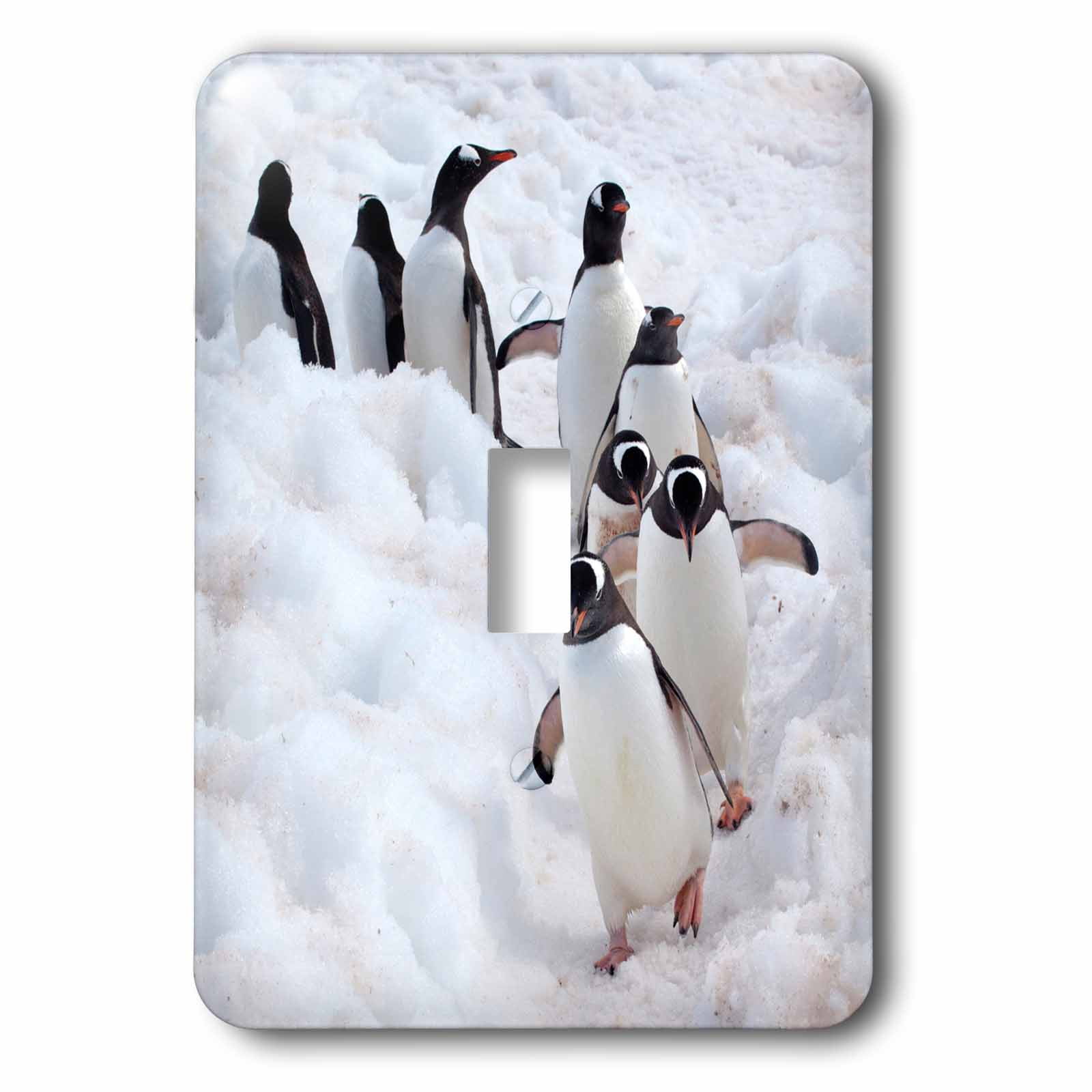 Penguin Switches