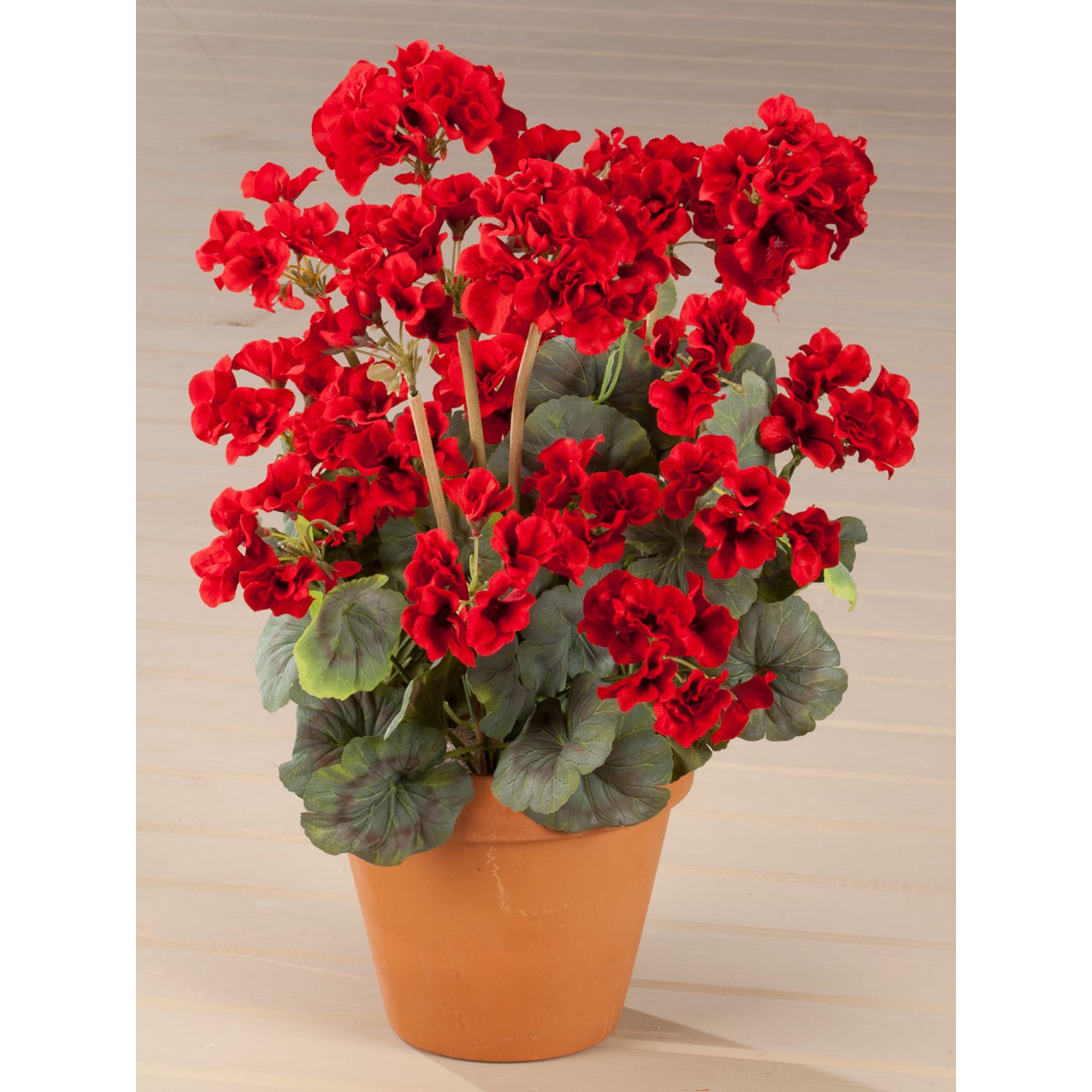 All Weather Silk Geraniums