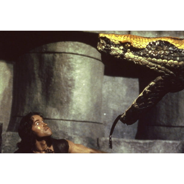 Arnold Schwarzenegger in Conan the Barbarian battles giant snake 24x36 ...
