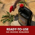 Spectracide Extended Control Weed & Grass Killer, 1 Gallon, Prevents ...