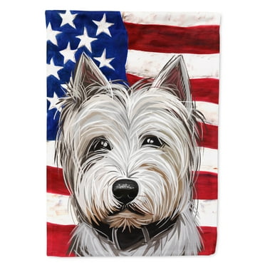 Kishu Ken American Flag Flag Canvas House Size - Walmart.com
