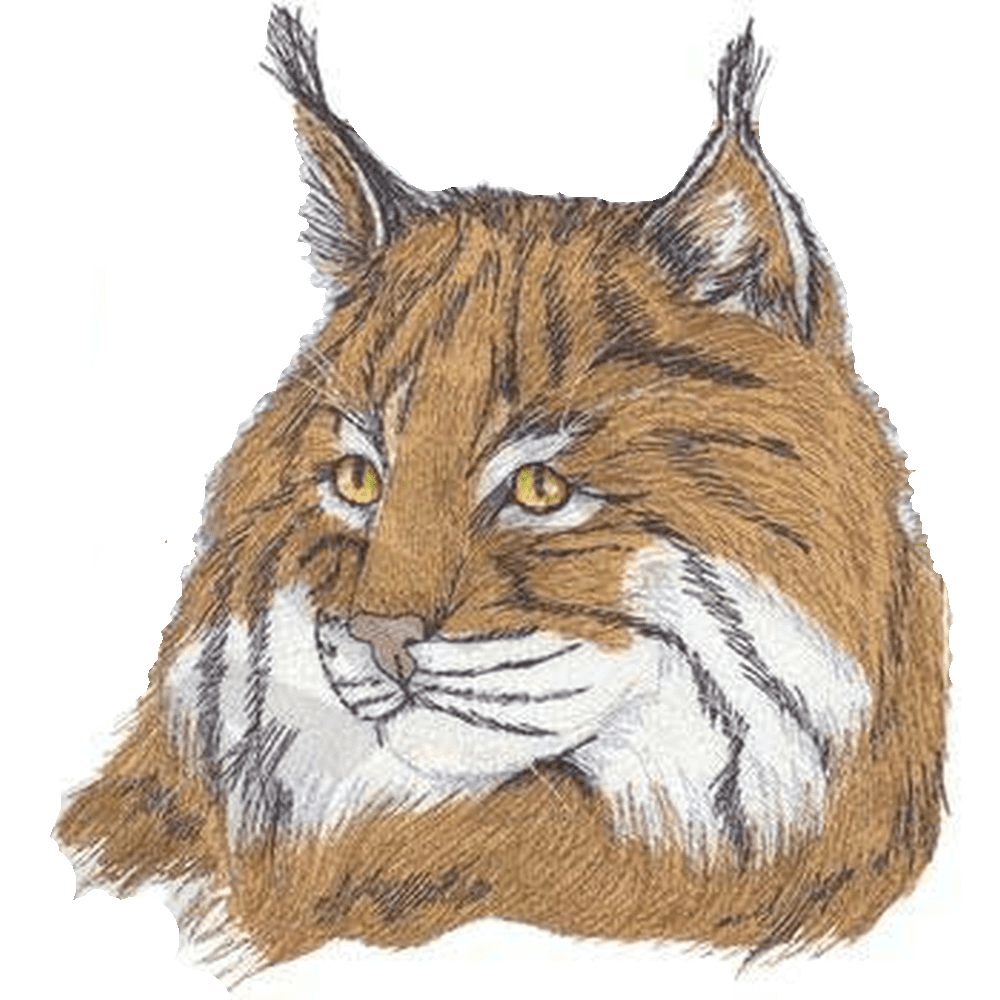 Bobcat Wildcat Head Embroidered Patch Large size 7.5" x 8.2" FREE USA ...