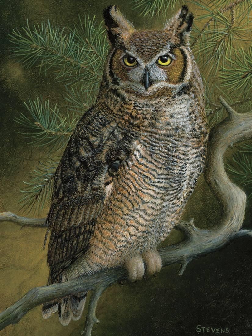 Twilight Sentinel 300-Piece Puzzle - Walmart.com