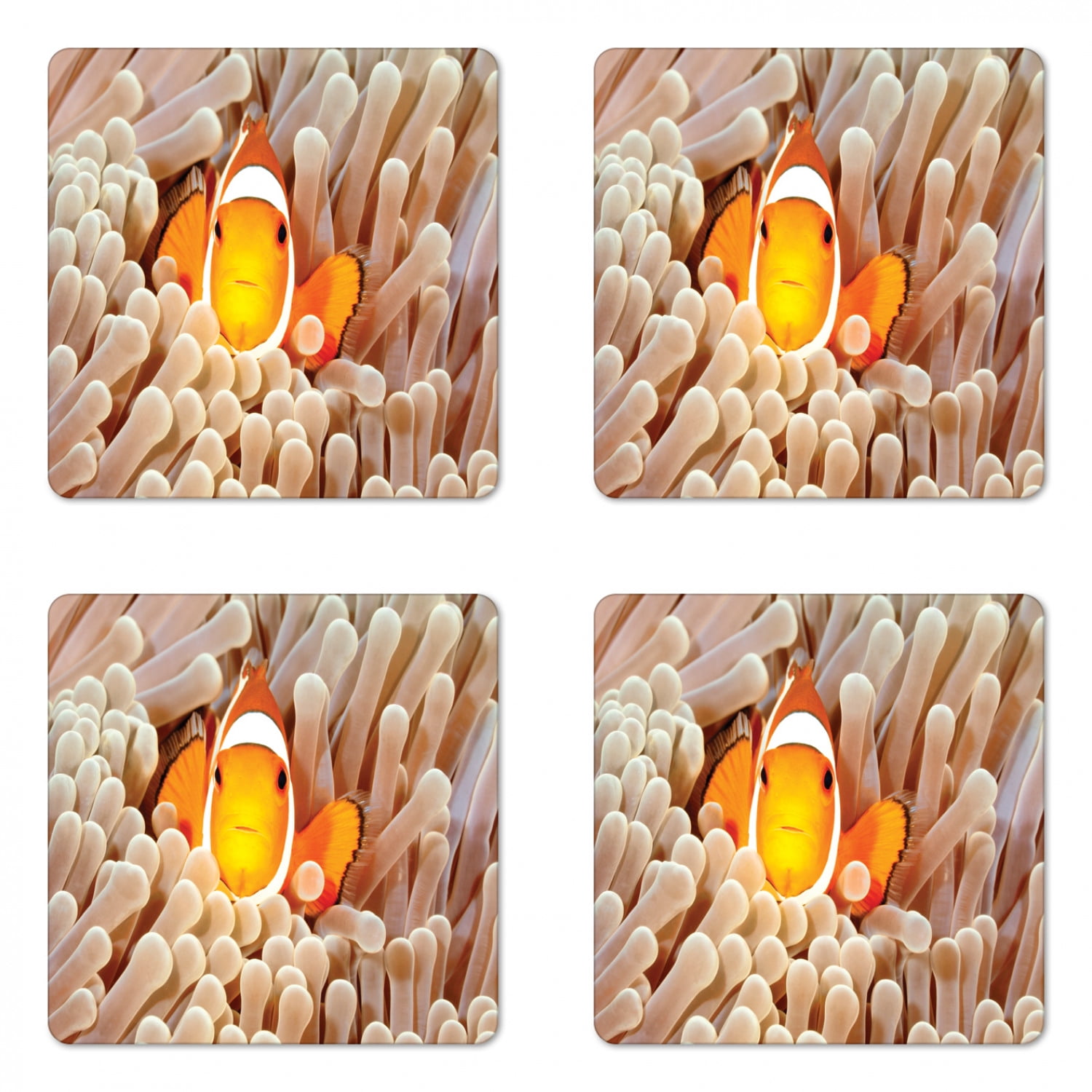 Ocean Coaster Set of 4, Clown Fish Swimming in Tentacles in Pacific ...