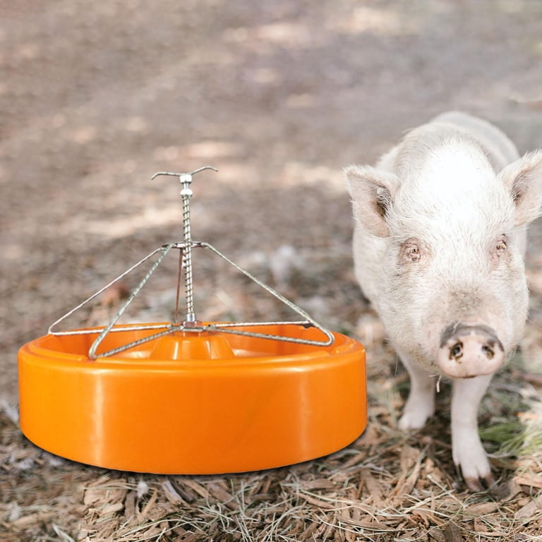 Plastic Livestock Feeding Trough 5 Compartment Thickened Plastic Pig ...