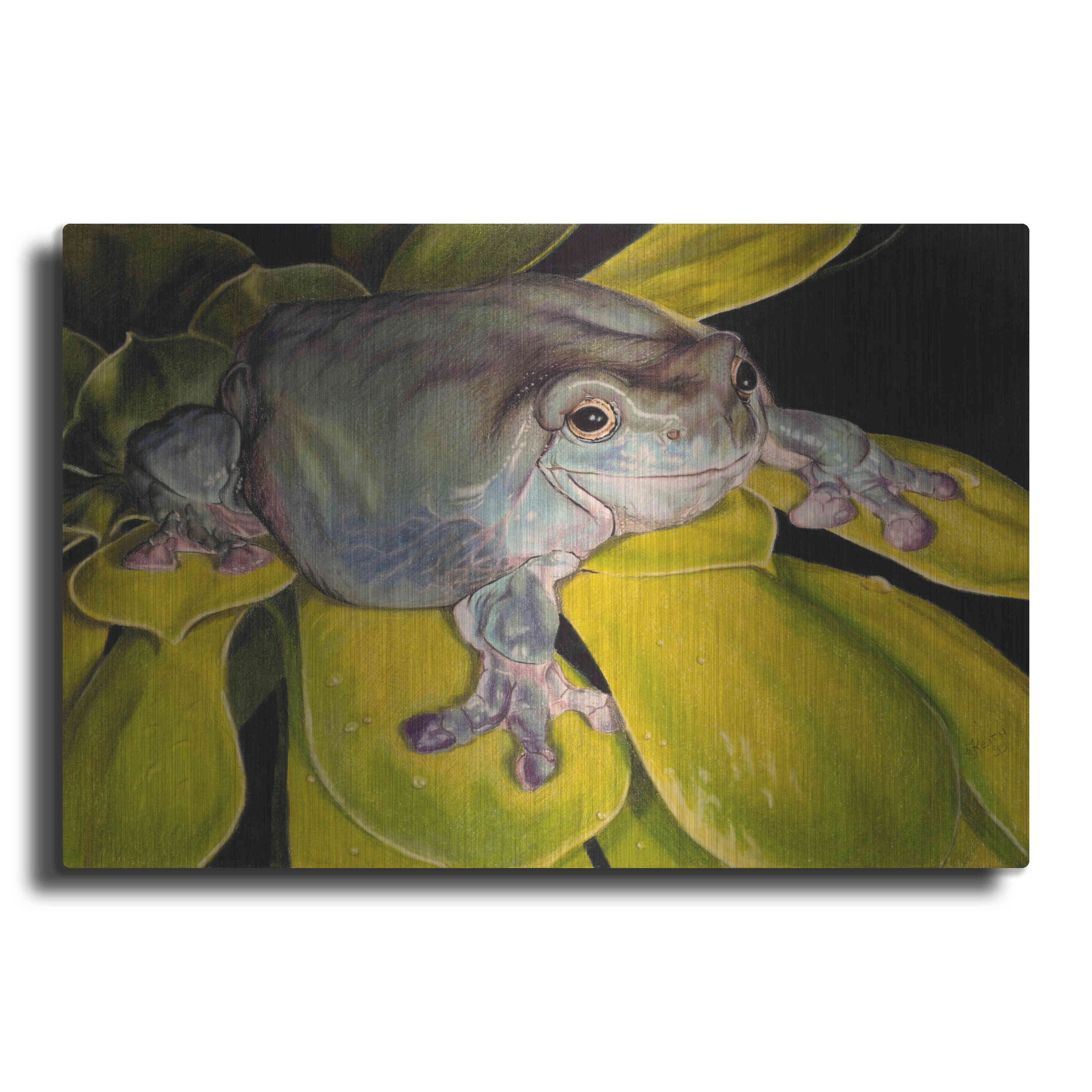 Luxe Metal Art 'Got Bugs' by Barbara Keith, Metal Wall Art, 24"x16 ...