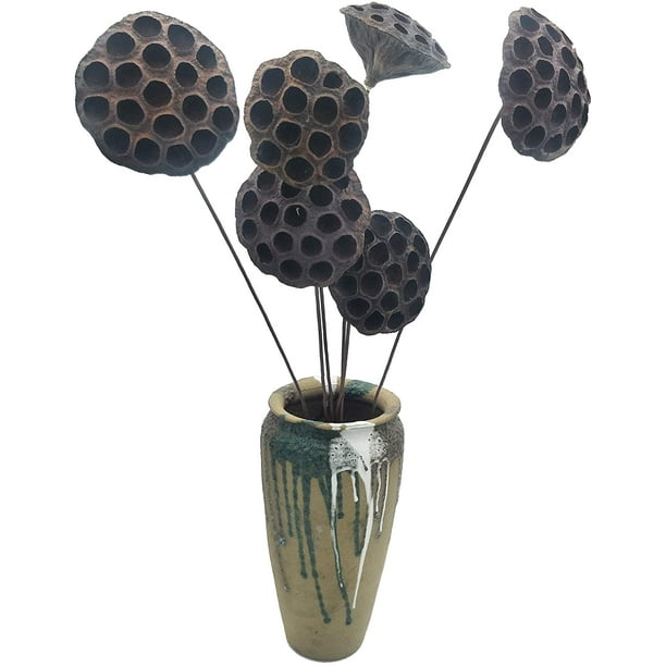 6pcs Natural Dried Lotus Pods with 26'' Artificial Long Stems for ...