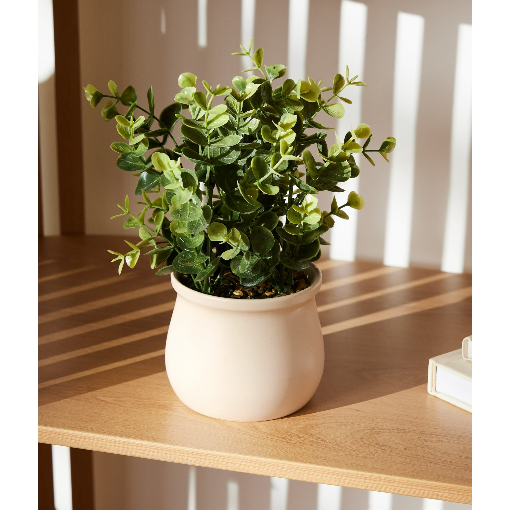 Click here for Anko Artificial Eucalyptus In Pot prices