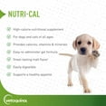 Vetoquinol Nutri-Cal 4.25 Oz SAF21 - High Calorie Supplement for Cats ...