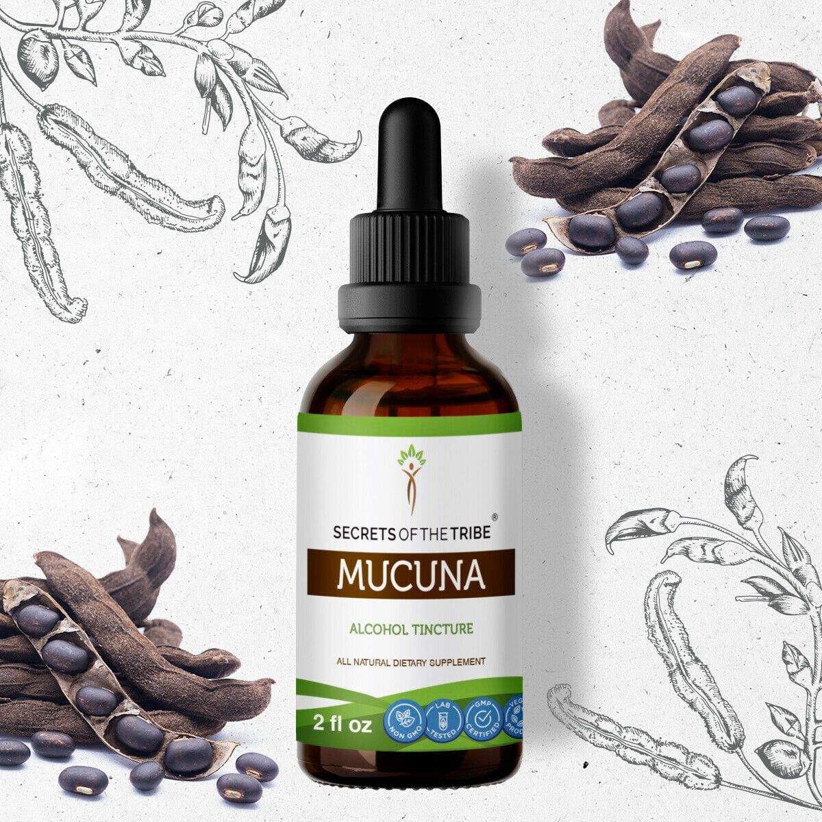 Mucuna Tincture Alcohol Extract, Organic Mucuna (Mucuna Pruriens) Dried ...
