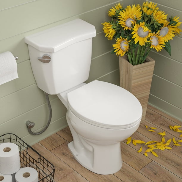 19 Inch High Toilets