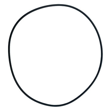 Hayward Pool Chlorinator Lid O-Ring (6 Pack) CLX200K for CL200/CL220 ...