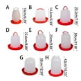 Poultry Drinking Water Container for Chickens Birds Fowl: Hassle-Free ...