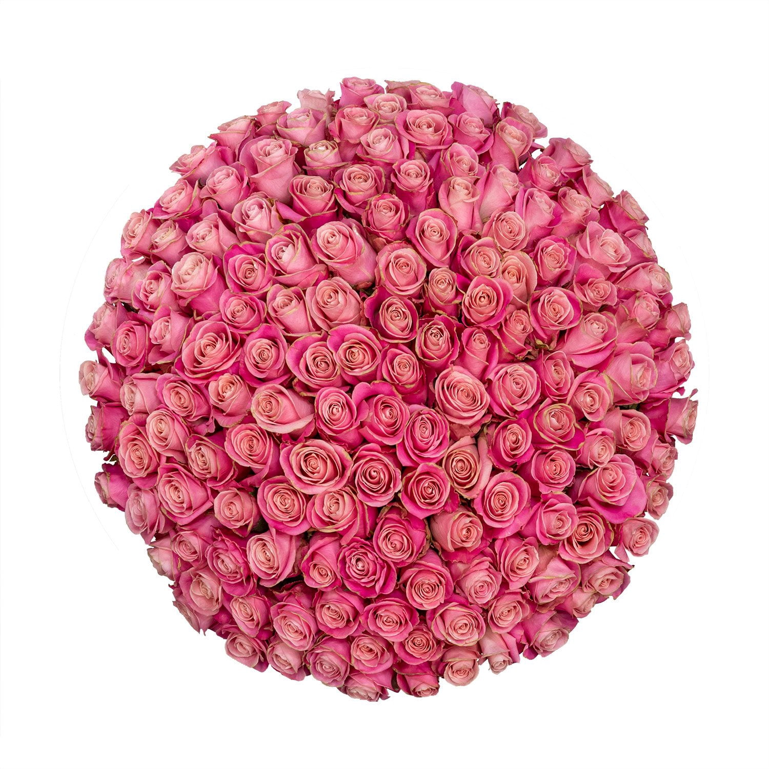 Member's Mark Ecuadorian Premium Roses, choose color variety and stem ...